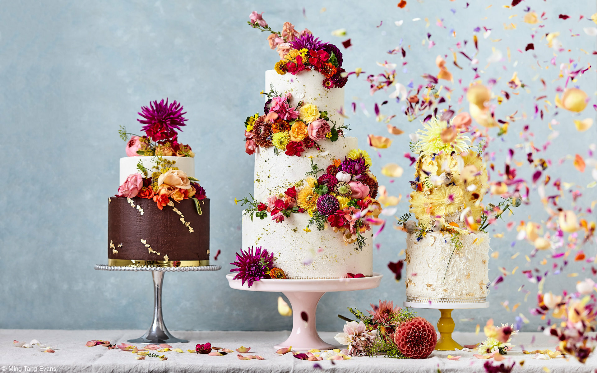 Cake Award - Competition Categories - World Food Photography Awards