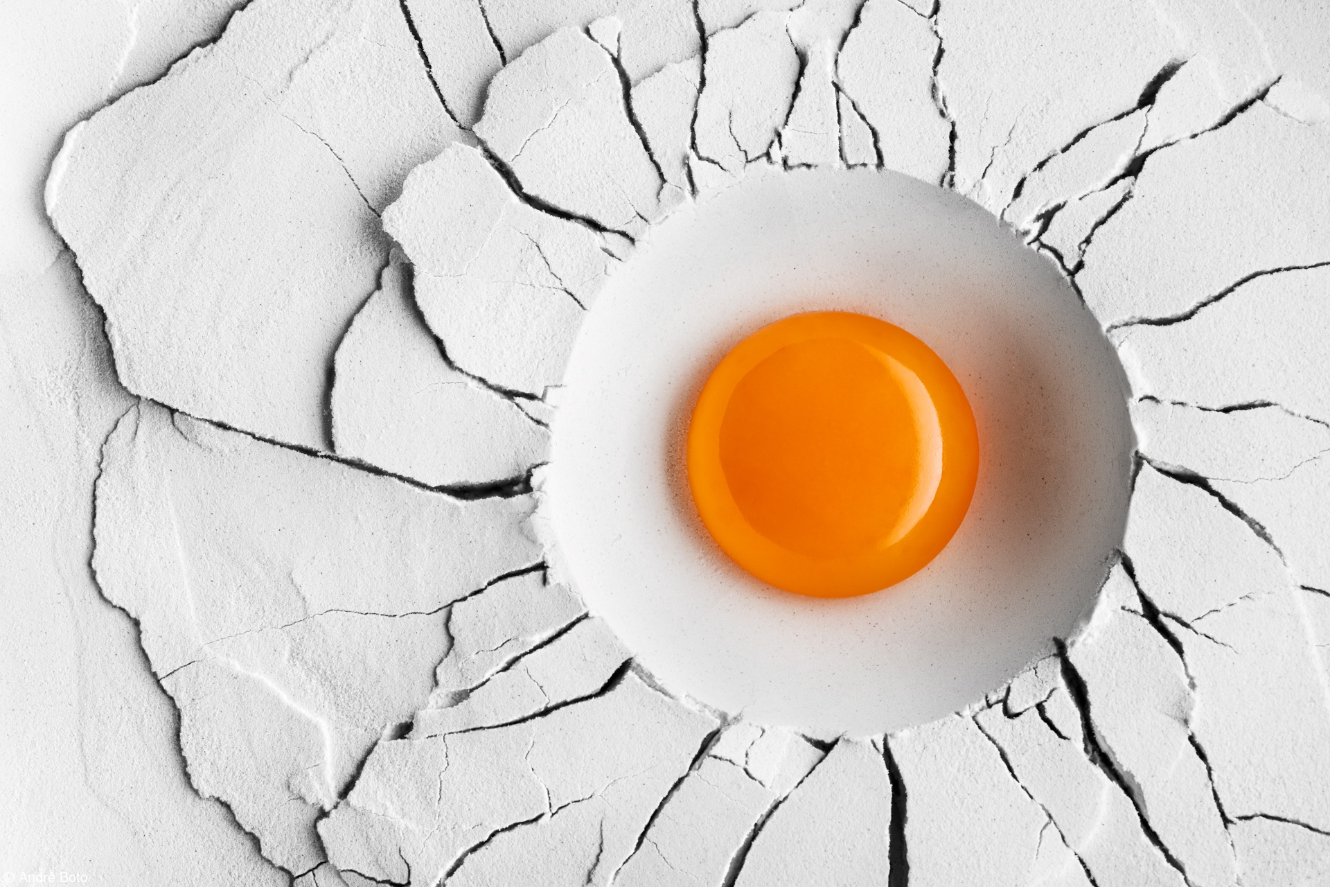 How André Boto transforms eggs into art: the stories behind the photos