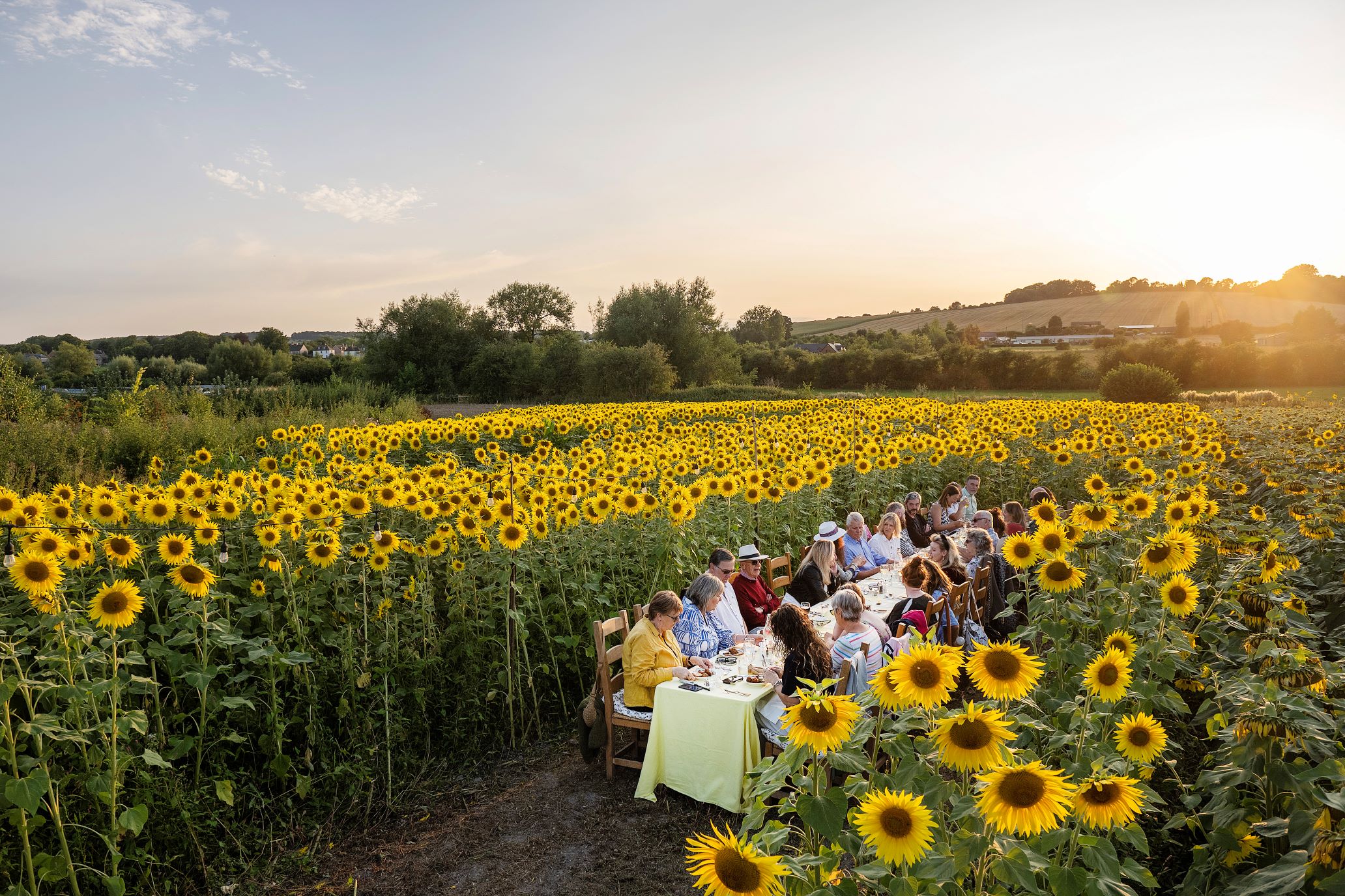 Champagne Taittinger Food for Celebration - Competition Categories ...