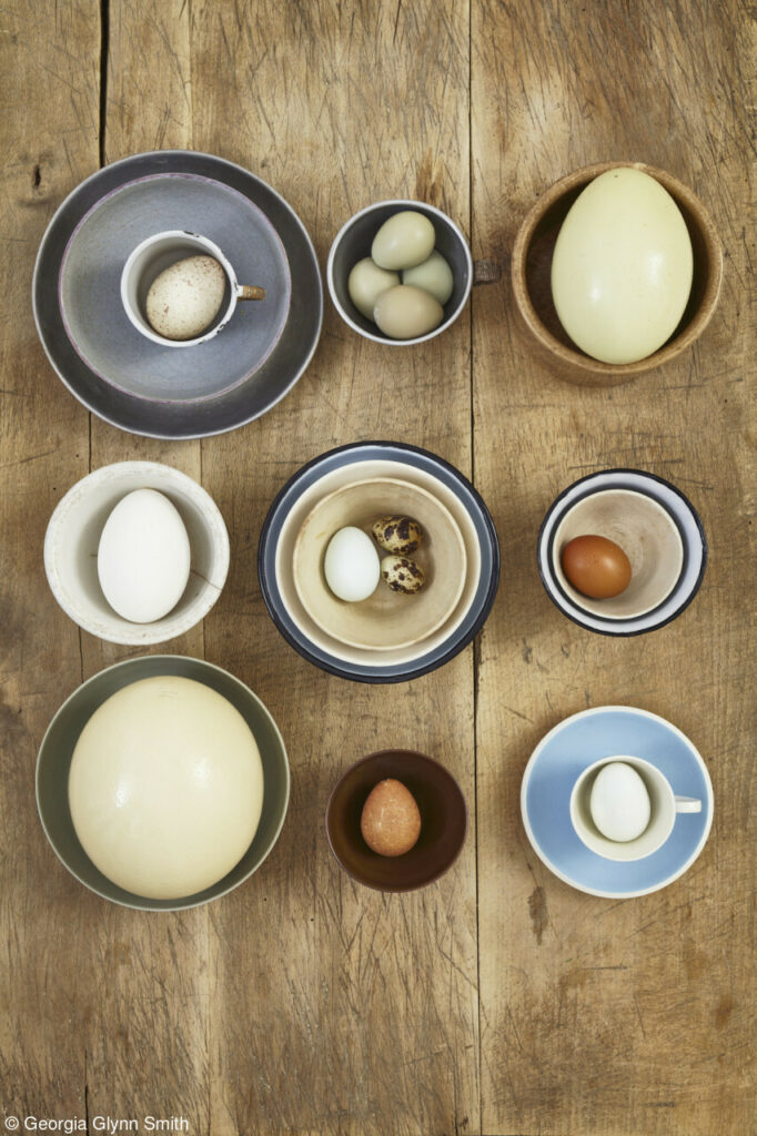 What makes an egg-cellent photograph? - World Food Photography Awards