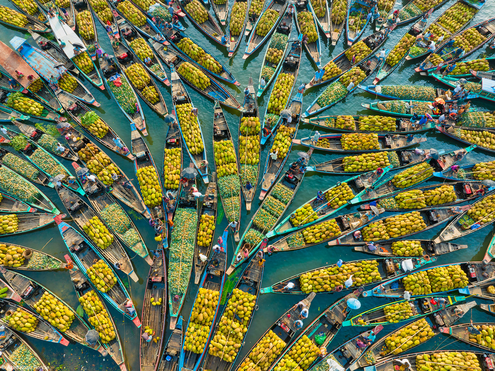 World Photography Day 2023 - World Food Photography Awards