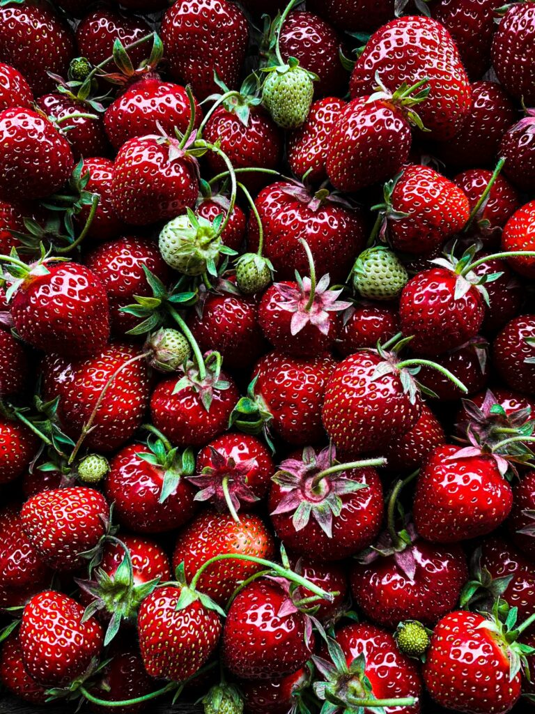 10 Essential Food Styling Tips to Make Your Dishes Photo-Ready