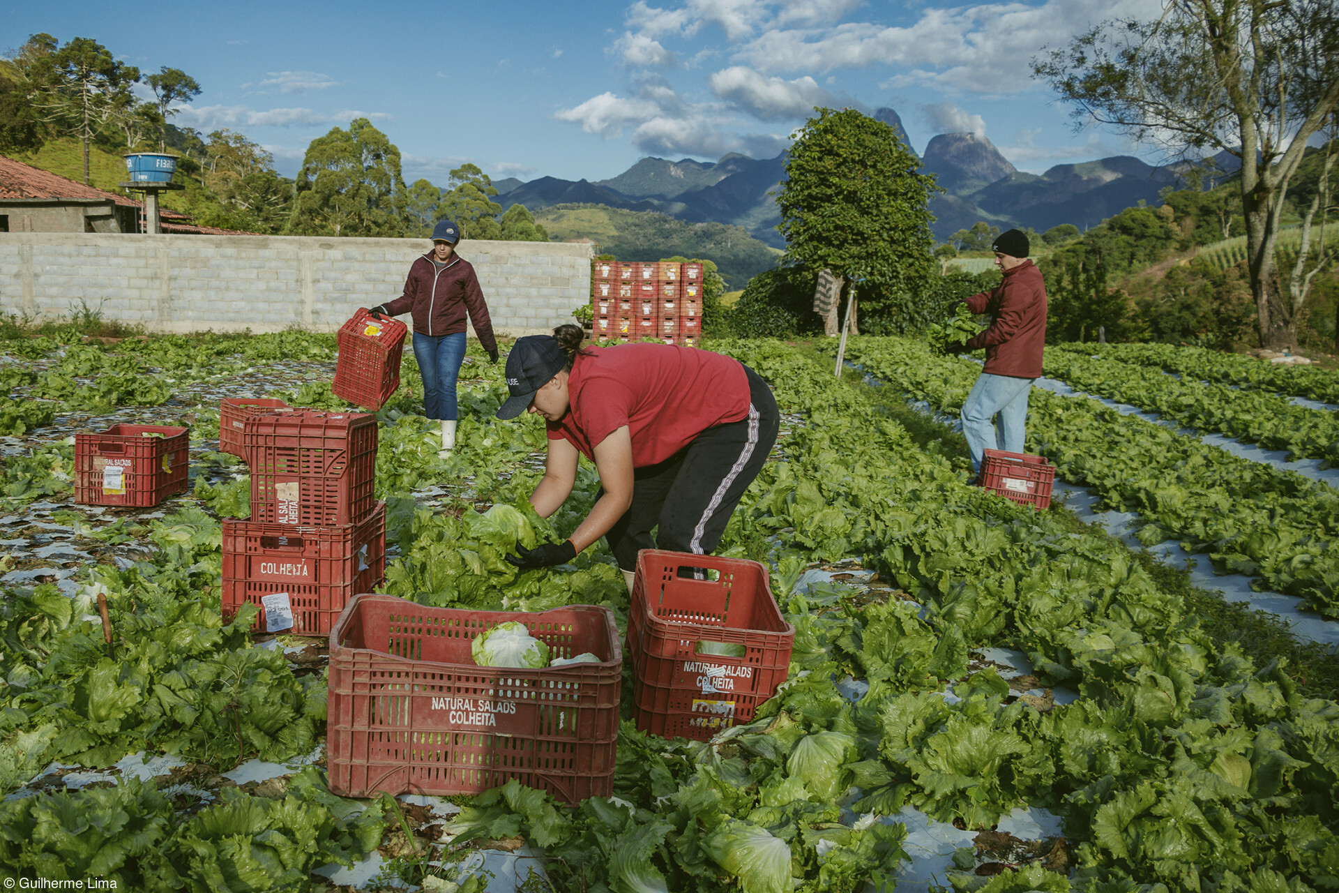 Bring Home the Harvest - Competition Categories - World Food ...