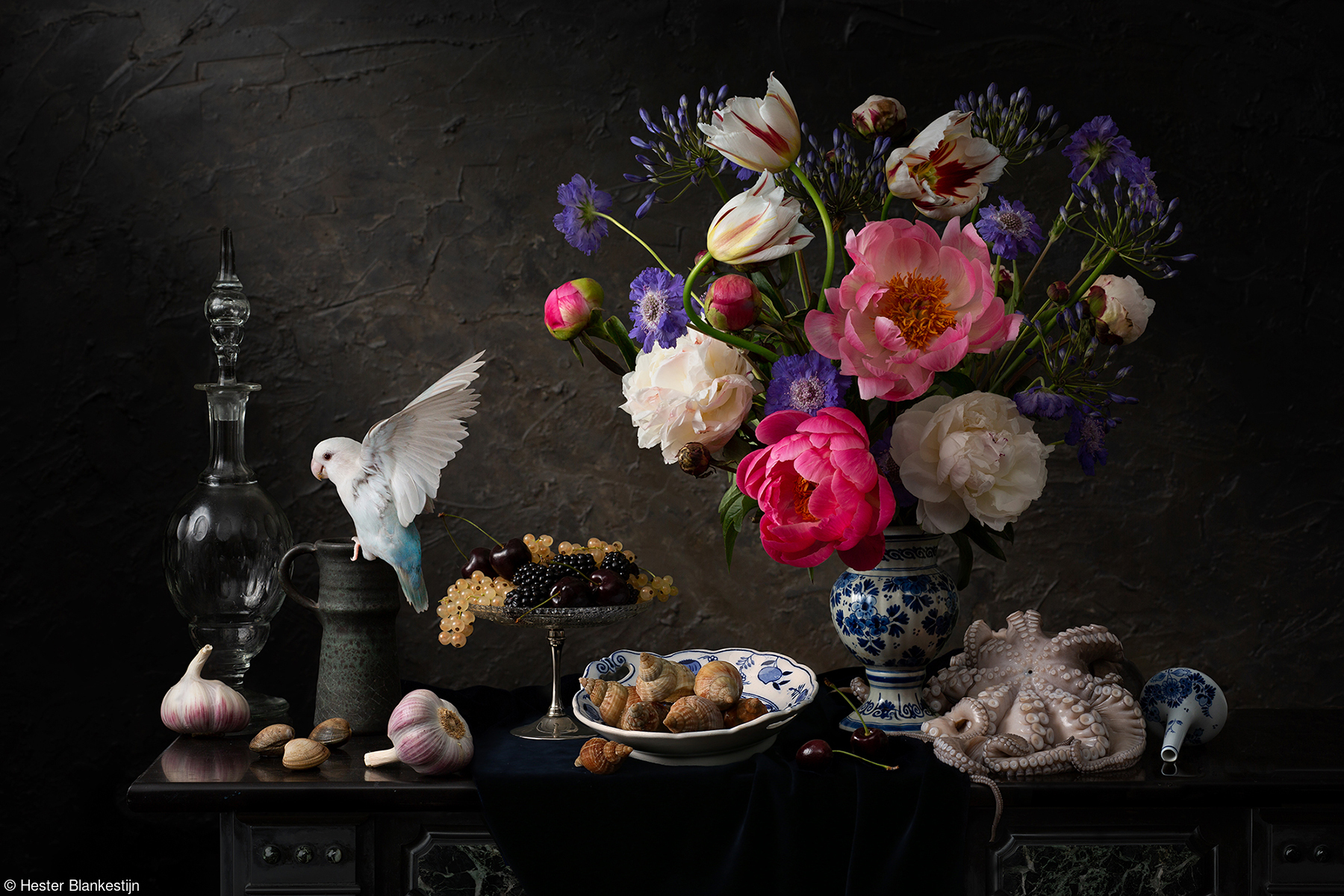 Around the World in Photographers: Netherlands