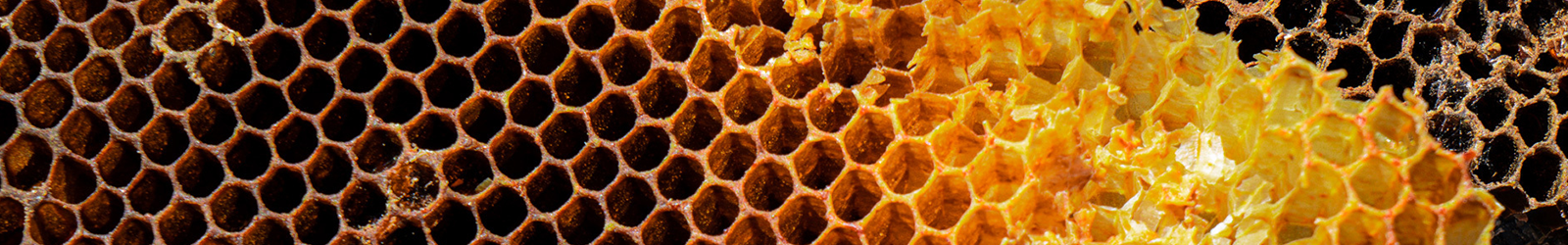 Student Food Photographer of the Year - Competition Categories - World ...